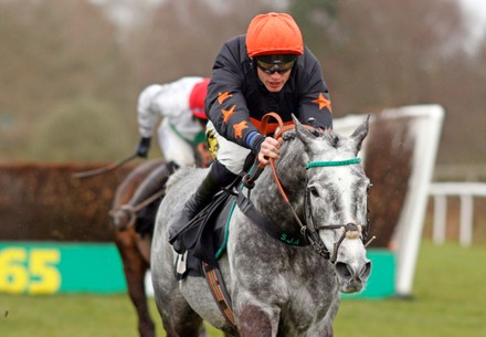 Bempton Cliffs Alan Johns Wins Racing Editorial Stock Photo - Stock ...
