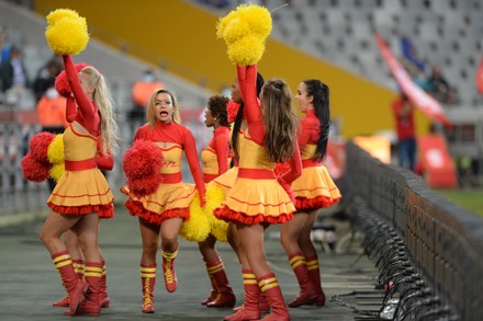 Stormers Cheerleaders During United Rugby Championship Editorial Stock ...