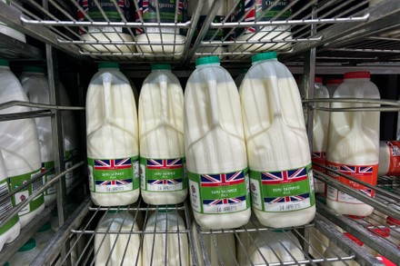 Cartons Four Pints Semi Skimmed Milk Editorial Stock Photo - Stock ...