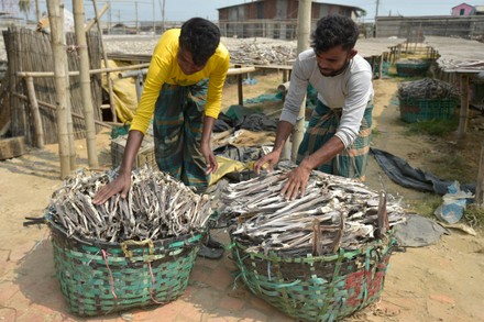 People Process Dried Fish Open Area Editorial Stock Photo - Stock Image ...