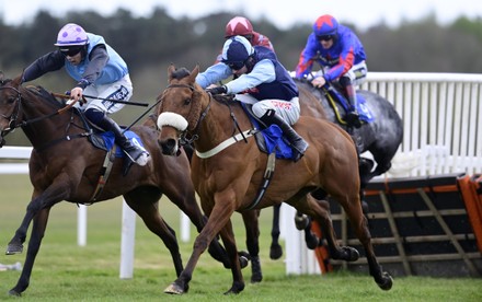 Exeter Races, UK - 05 Apr 2022 Stock Pictures, Editorial Images and ...