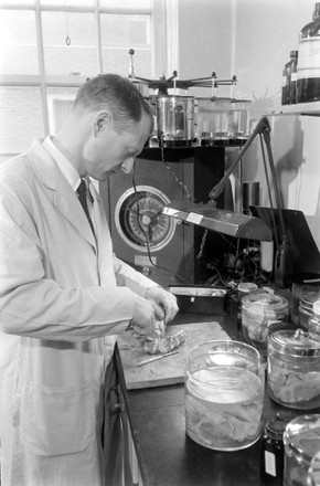 Dr Thomas Harvey 1912 2007 Pathologist Editorial Stock Photo - Stock ...