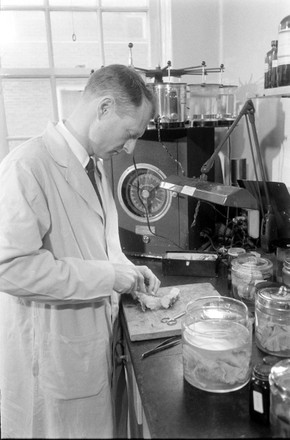Dr Thomas Harvey 1912 2007 Pathologist Editorial Stock Photo - Stock ...