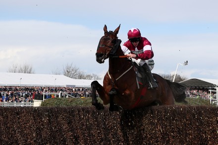 Racegoers Watch Horses Parade Ring Aintree Editorial Stock Photo ...