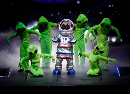 Space Pug Character Performs On Stage Editorial Stock Photo - Stock ...