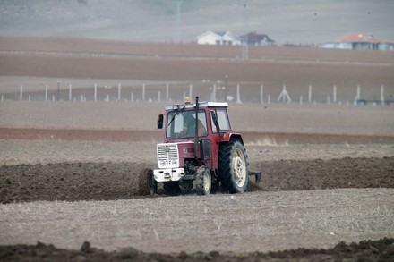 250 Farmer drives tractor Stock Pictures, Editorial Images and Stock ...