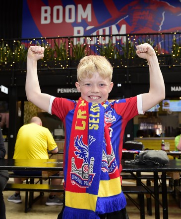 General View Crystal Palace Fanzone Box Editorial Stock Photo - Stock ...