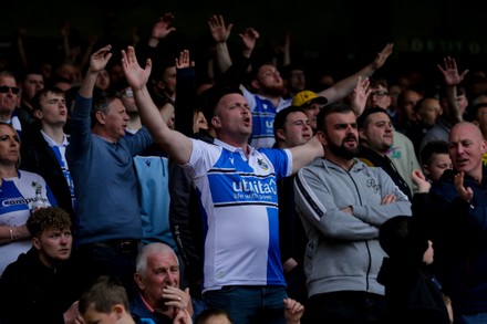 Bristol Rovers Fans Editorial Stock Photo - Stock Image | Shutterstock