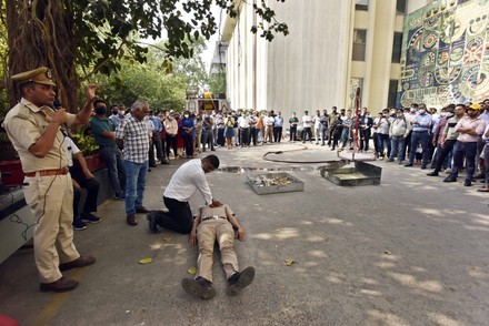 Fire Brigade Personnel Demonstrate Cpr Cardiopulmonary Editorial Stock ...