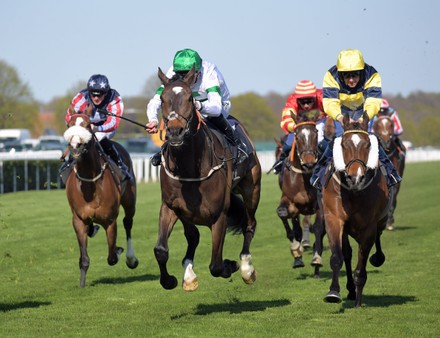 Tendentious Daniel Tudhope Wins Right Mr Editorial Stock Photo - Stock ...