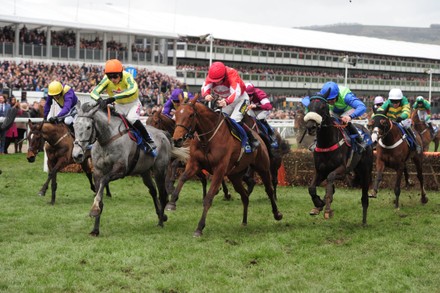 National Hunt Horse Racing 2019 Cheltenham Editorial Stock Photo ...