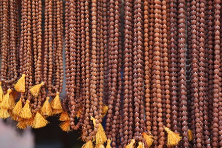 19 Shivite Stock Pictures, Editorial Images and Stock Photos | Shutterstock