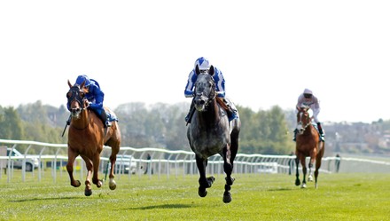 250 King power racing Stock Pictures, Editorial Images and Stock Photos ...