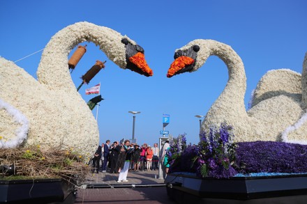 Floats Seen During Flower Parade Bollenstreek Editorial Stock Photo ...