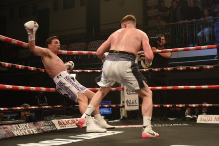 38 Neilson boxing show Stock Pictures, Editorial Images and Stock ...