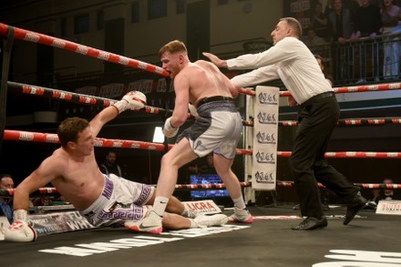 38 Neilson boxing show Stock Pictures, Editorial Images and Stock ...