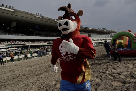 Botarga Takes Part During Botargas Race Editorial Stock Photo - Stock ...
