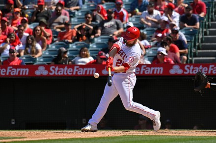 Los Angeles Angels First Baseman Jared Editorial Stock Photo - Stock ...