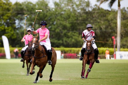 Pilot Polo Vs La Elina Polo Editorial Stock Photo - Stock Image ...