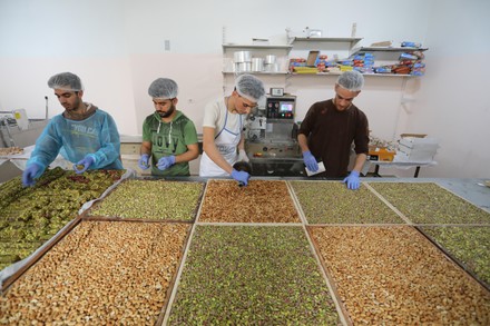 Palestinians Prepare Sweet Known Arabic Halkoum Editorial Stock Photo ...