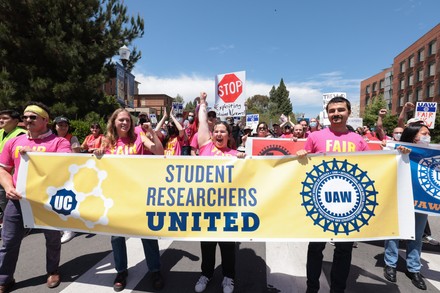 __COUNT__ imágenes de UCLA UAW Student Workers for Fair Wages Protest ...