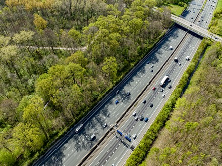 Forest Widening A27 Another Piece Forest Editorial Stock Photo - Stock ...