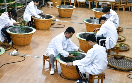 750 Technician at work Stock Pictures, Editorial Images and Stock ...