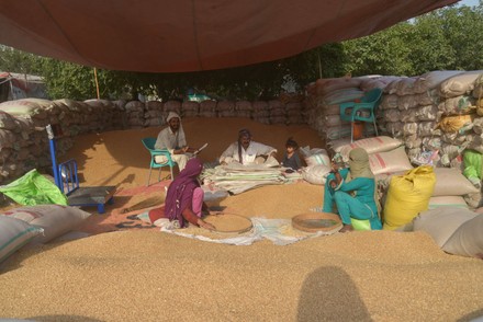 Pakistani Laborers Busy Routine Work Their Editorial Stock Photo ...