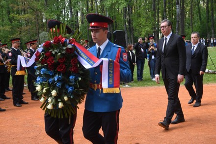 45 Gradina Stock Pictures, Editorial Images and Stock Photos | Shutterstock