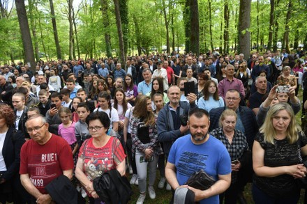 45 Gradina Stock Pictures, Editorial Images and Stock Photos | Shutterstock