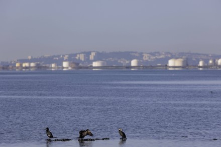 Berre Pond Lyondell Basel Refinery Lyondell Editorial Stock Photo ...