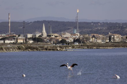 Berre Pond Lyondell Basel Refinery Lyondell Editorial Stock Photo ...
