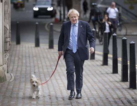 Prime Minister Boris Johnson Walks His Editorial Stock Photo - Stock ...