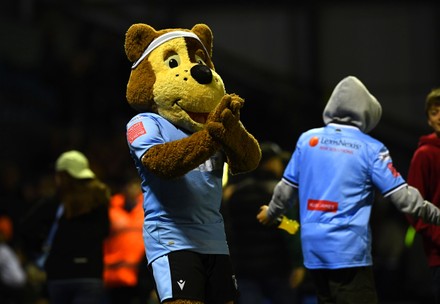 Cardiff Mascot Bruiser Bear Supporters End Editorial Stock Photo ...