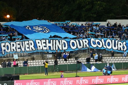 Sydney Fc Fans Show Their Support Editorial Stock Photo - Stock Image ...