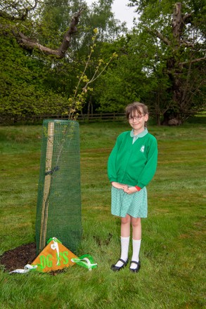 Dedworth Green First Middle School Pupil Editorial Stock Photo - Stock ...