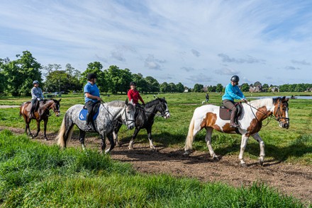 Group Horse Riders On Bright Morning Editorial Stock Photo - Stock ...