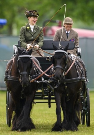 Lady Louise Windsor Competing Carriage Driving Editorial Stock Photo ...
