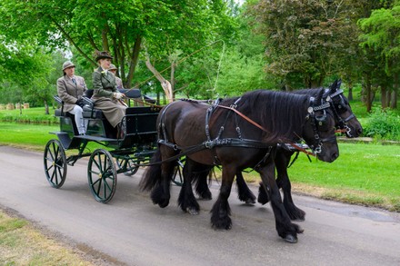 Lady Louise Windsor Competing Carriage Driving Editorial Stock Photo ...