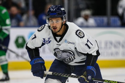 2022 Jacksonville Fl Usa Jacksonville Icemen Editorial Stock Photo ...