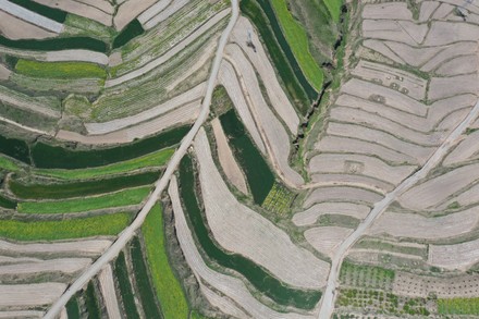 1,000 Family farms Stock Pictures, Editorial Images and Stock Photos ...