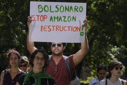 47 Mass deforestation Stock Pictures, Editorial Images and Stock Photos ...