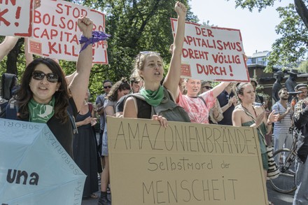 47 Mass deforestation Stock Pictures, Editorial Images and Stock Photos ...