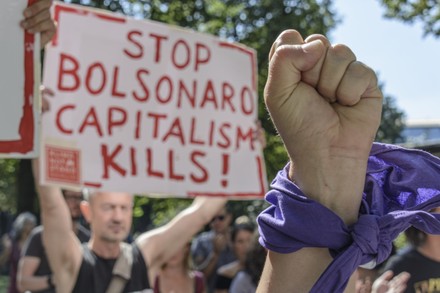 47 Mass deforestation Stock Pictures, Editorial Images and Stock Photos ...