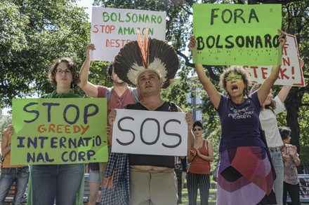 47 Mass deforestation Stock Pictures, Editorial Images and Stock Photos ...