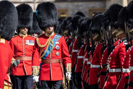 500 Royal irish regiment Stock Pictures, Editorial Images and Stock ...