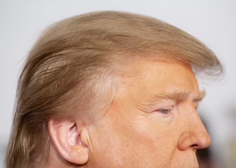 Comedy Central Roast Of Donald Trump, New York, America - 09 Mar 2011 ...