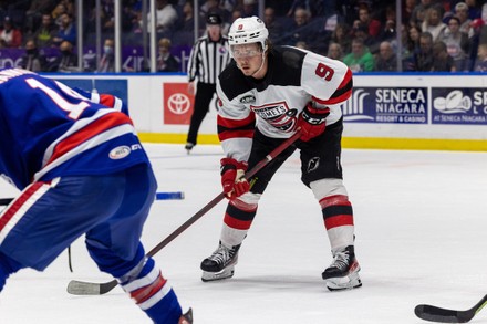 Utica Comets Forward Alexander Holtz 9 Editorial Stock Photo - Stock ...