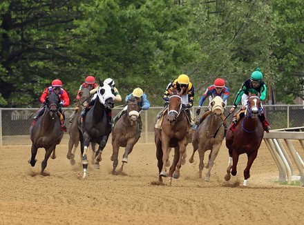 Field Heads Into Final Turn During Editorial Stock Photo - Stock Image ...