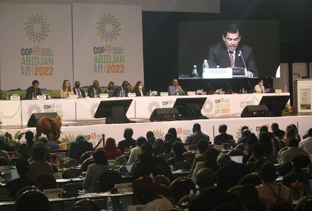 81 Unccd Stock Pictures, Editorial Images and Stock Photos | Shutterstock